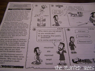 The Planted Trees: Final Analysis Friday: Bible Study Guide for All Ages