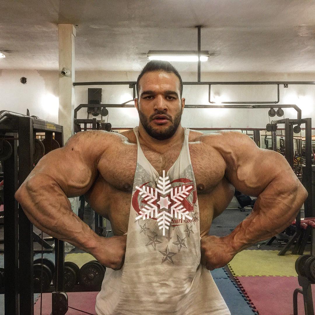 Muscle Lover: December muscle mix 2017