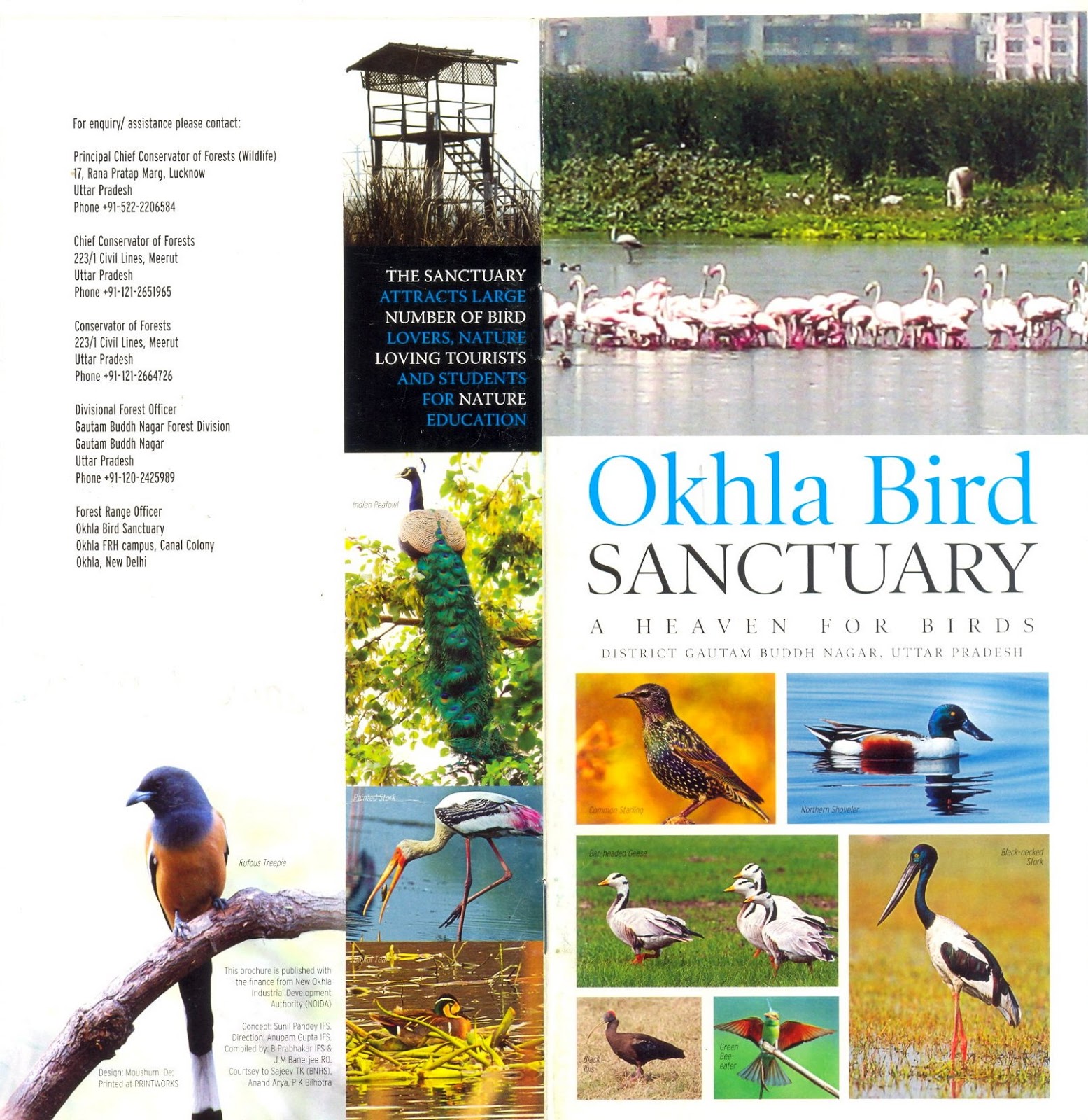 S Roy Biswas Okhla Bird Sanctuary s-roy-biswas-okhla-bird-sanctuary