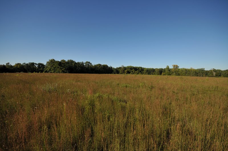 Shor Park and Tealtown Nature Preserve