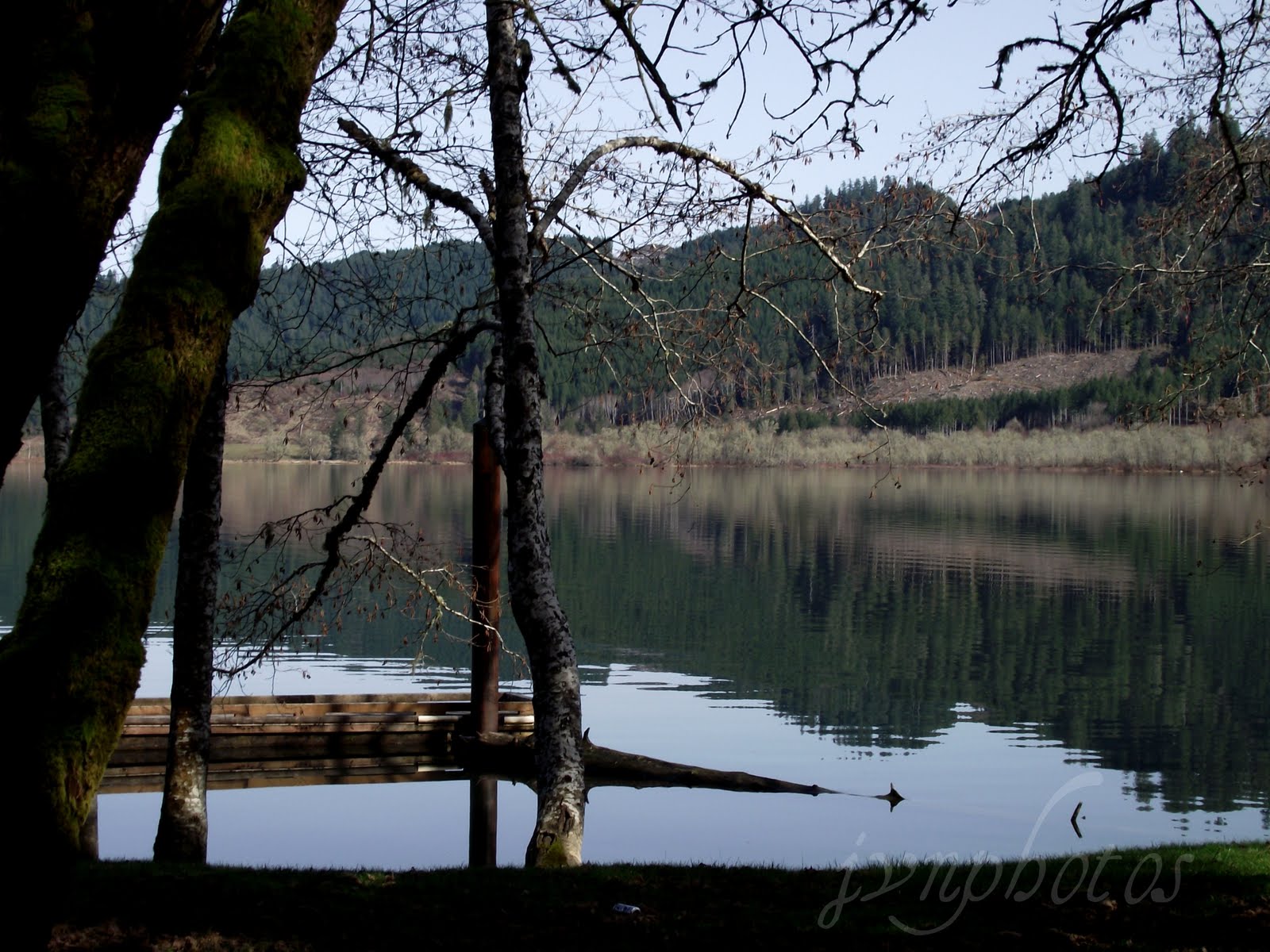 Photos by Jan: Triangle Lake, Oregon and Further Adventures