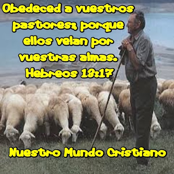 Nuestro Mundo Cristiano: ¿Por qué entristecer?