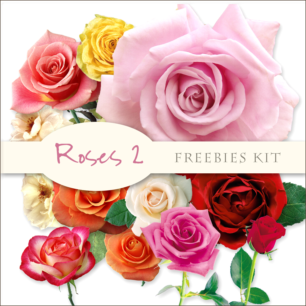 Scrap. DOT: New Freebies Roses Kit