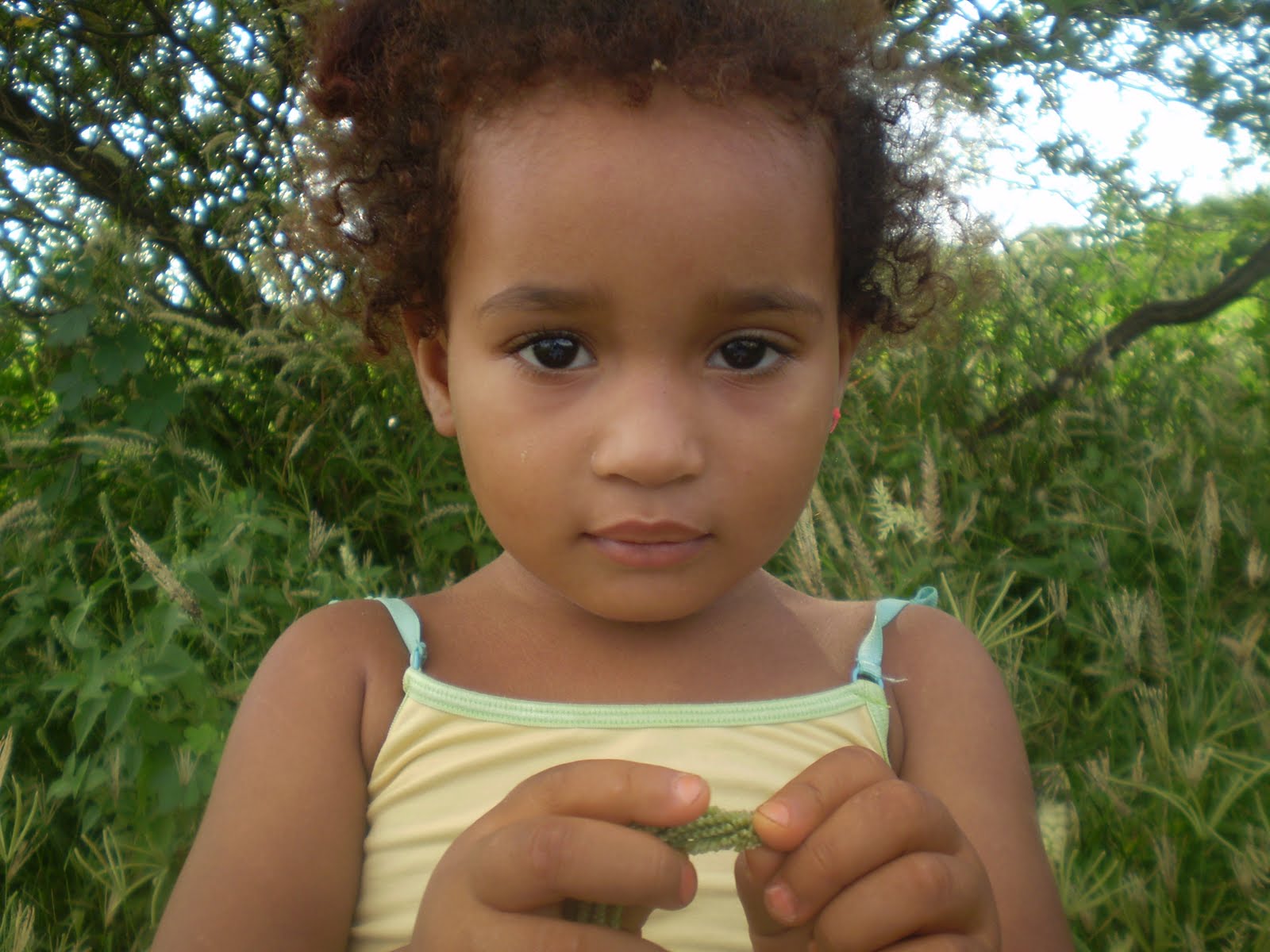 Monguel مونكل: مناظر طبيعية من مقاطعة مونكل