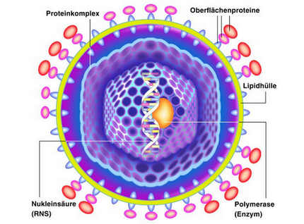 Peranan Virus Dalam Kehidupan Manusia yang Menguntungkan dan Merugikan ...