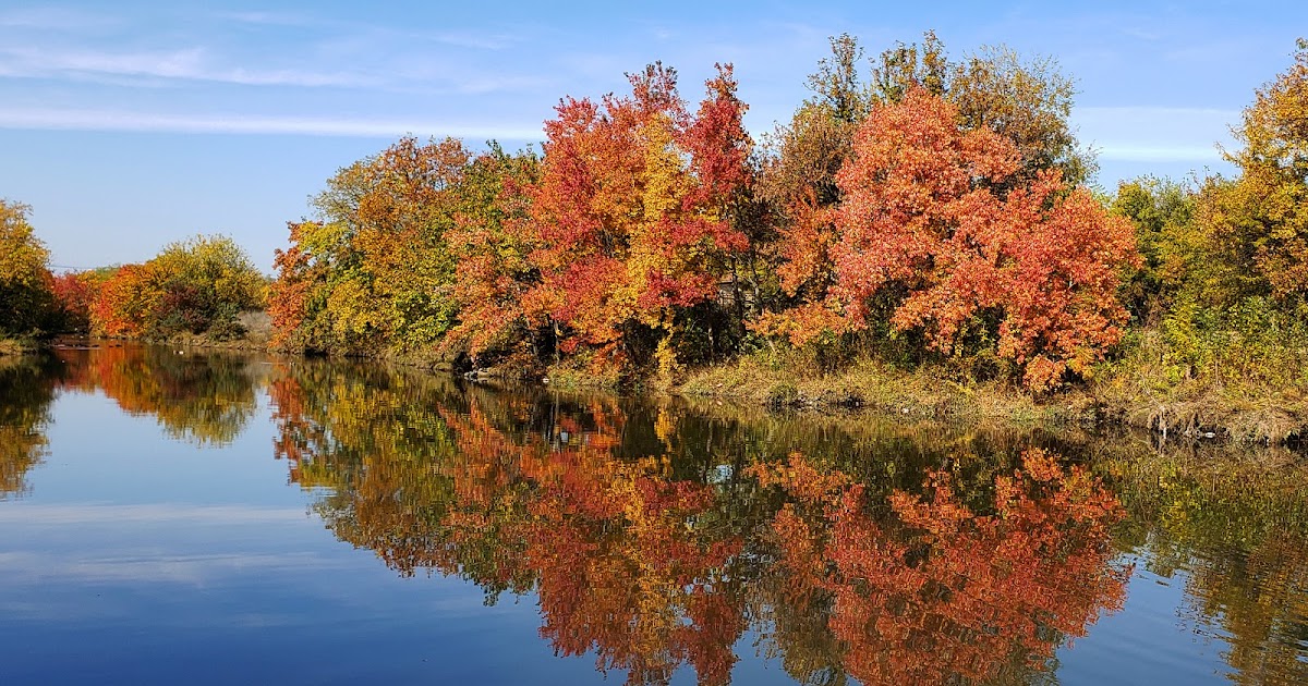 The Wheel: Autumn in Richardson