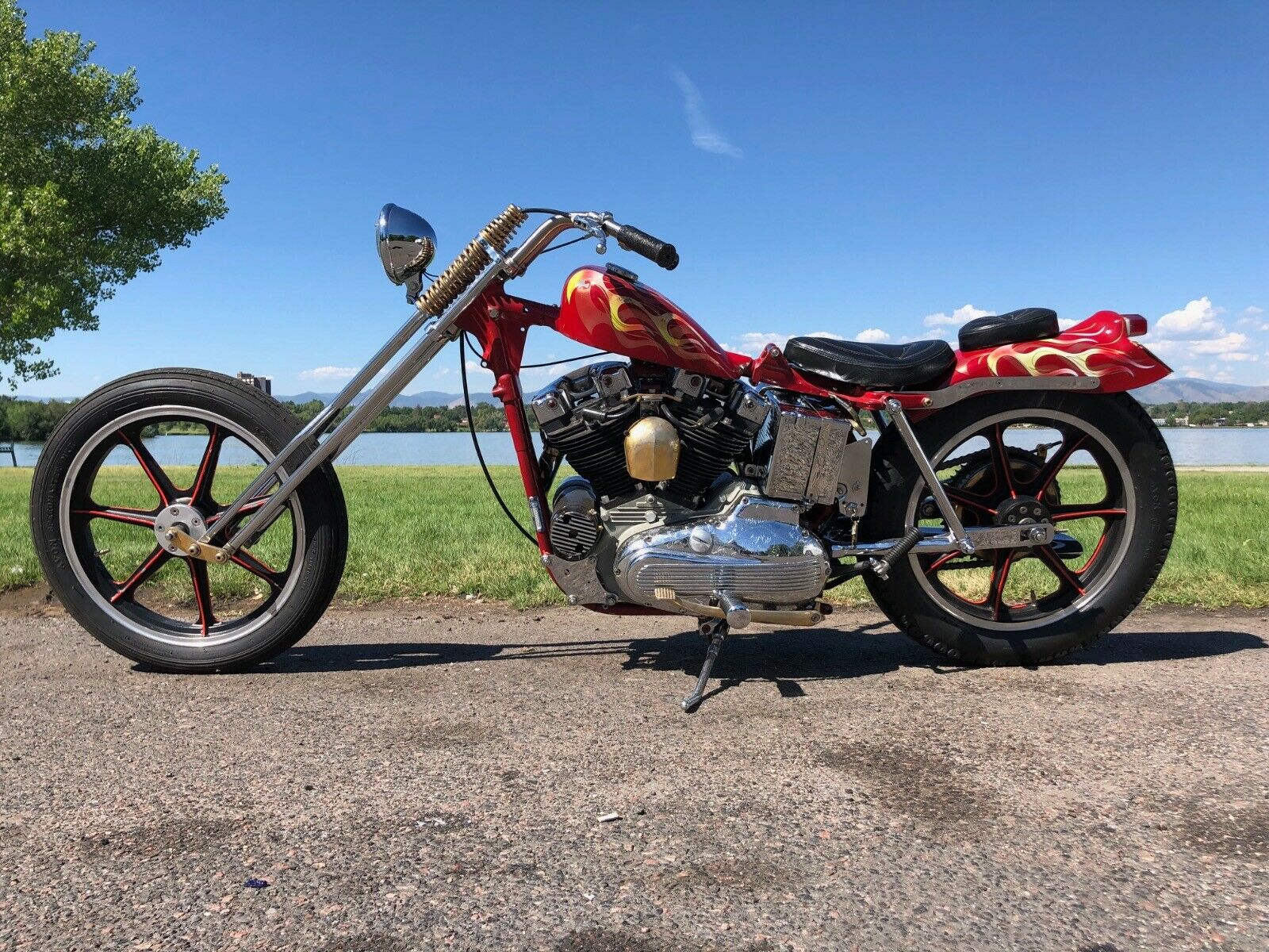 ZZ chop: Ness digger