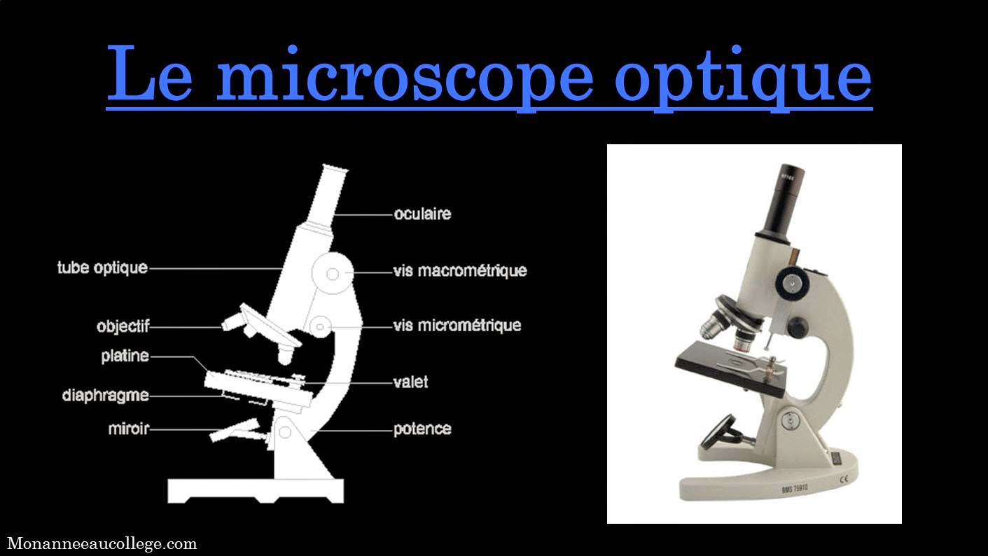 Le labo d'Anissa - SVT: Le matériel utilisé en SVT.