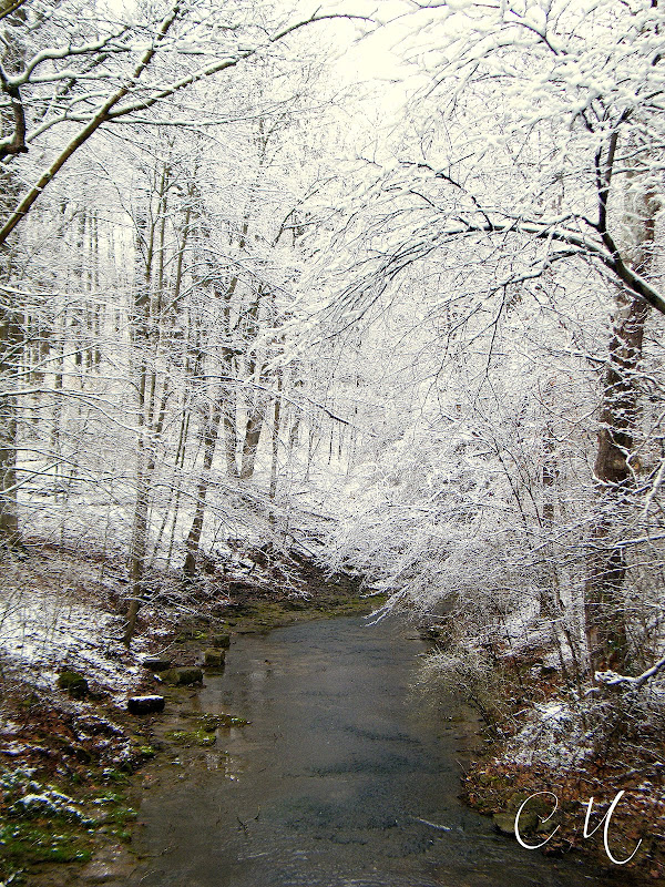 Kentucky Landscape Winter