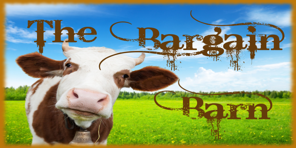 Closet Katia Lunna: ☠ The Bargain Barn - Rock Purple Rock ☠