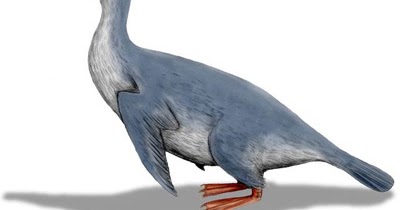 Synapsida: First of the Flightless Penguins