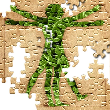 Things We Don't Know: The beast with a billion backs: Part 1