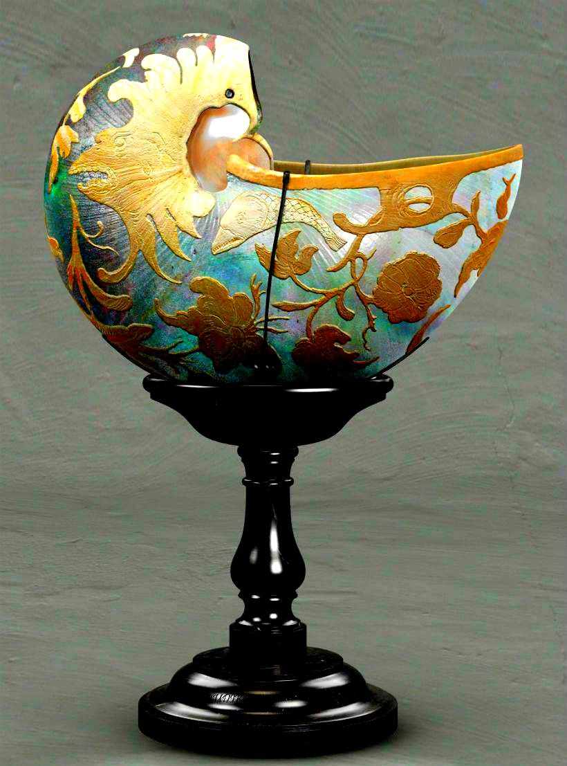 loveisspeed.......: Nautilus shells were popular items in the ...