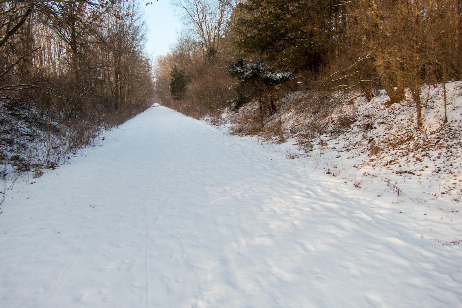 Eric's Hikes: North Country Trail between Middleville and Barry State ...