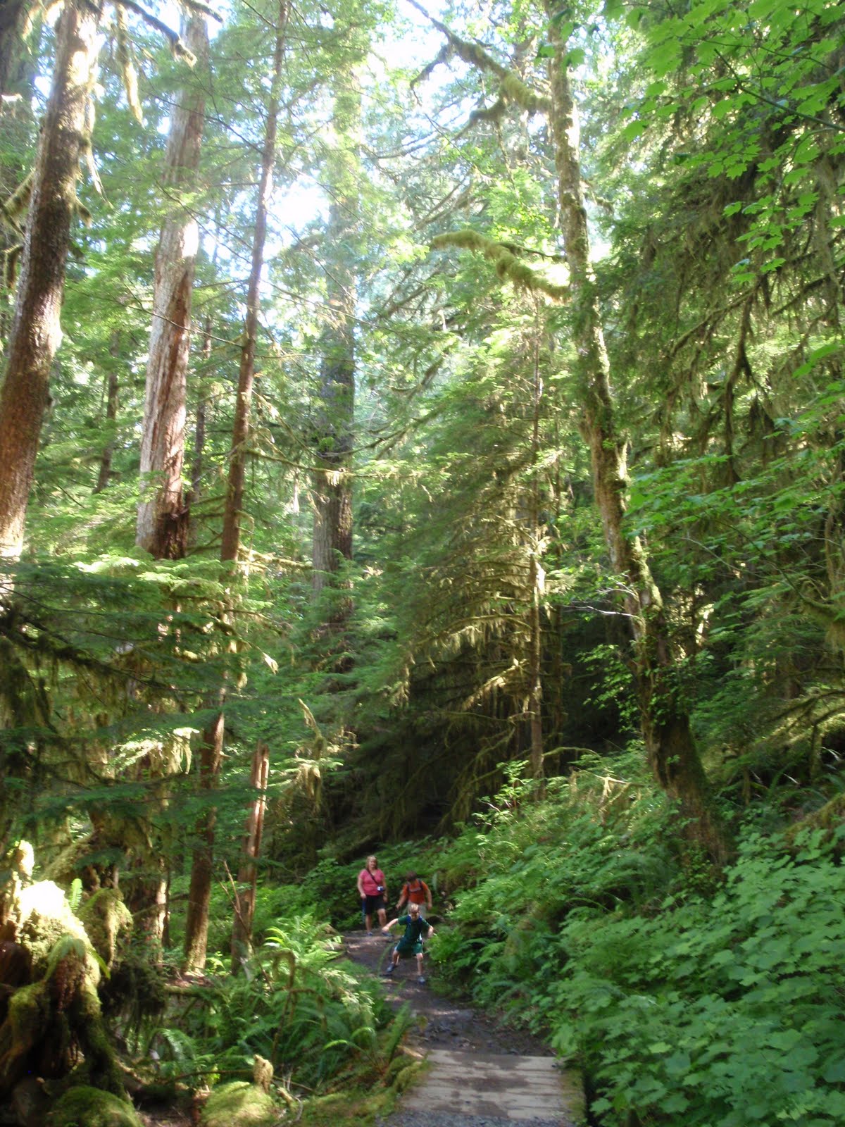 Blunoz Random Ramblings: Olympic National Park - Staircase Rapids Hike