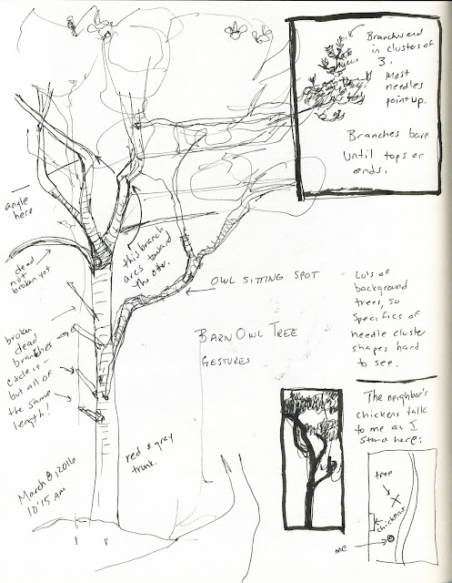 Scribbling With Spirit: ReDiscovering a Tree