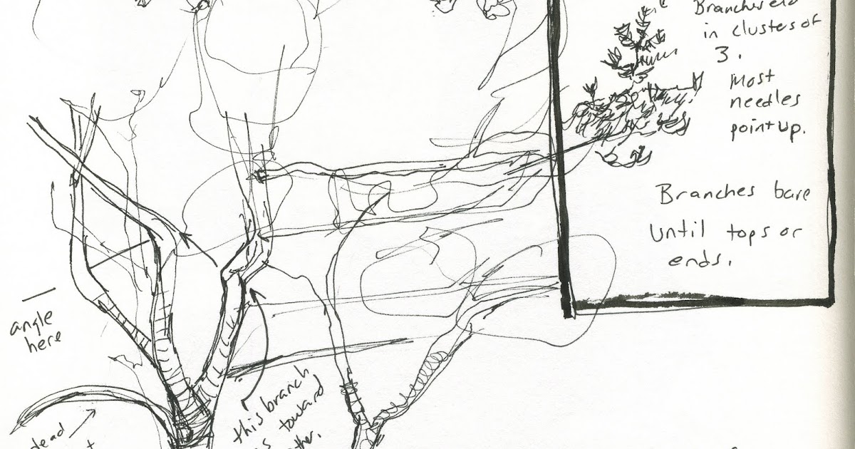 Scribbling With Spirit: ReDiscovering a Tree