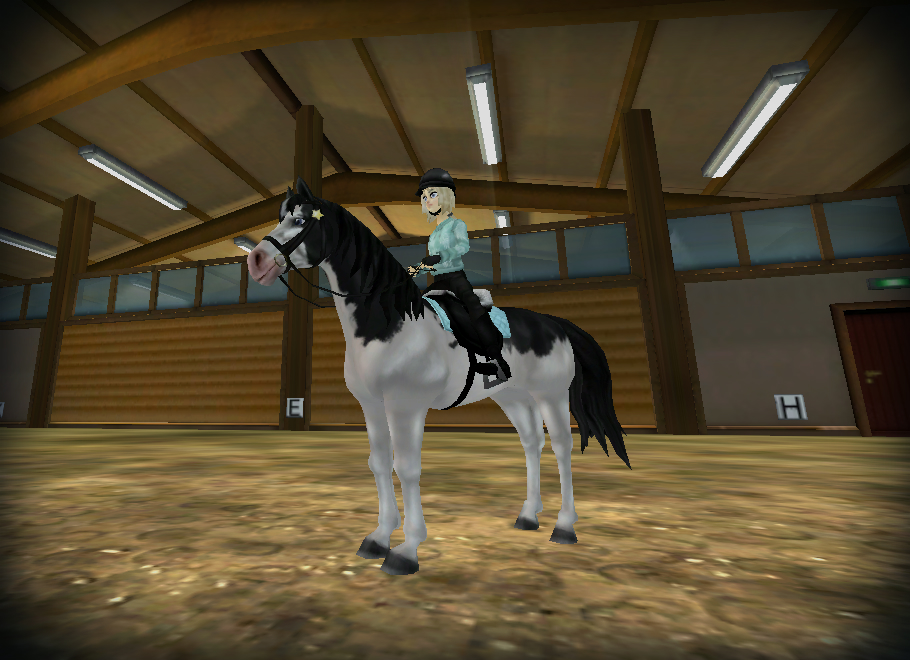 SSO - Luna Catsea: Moje konie