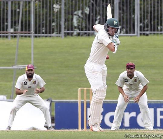 ElephaNZa: Spice of Life