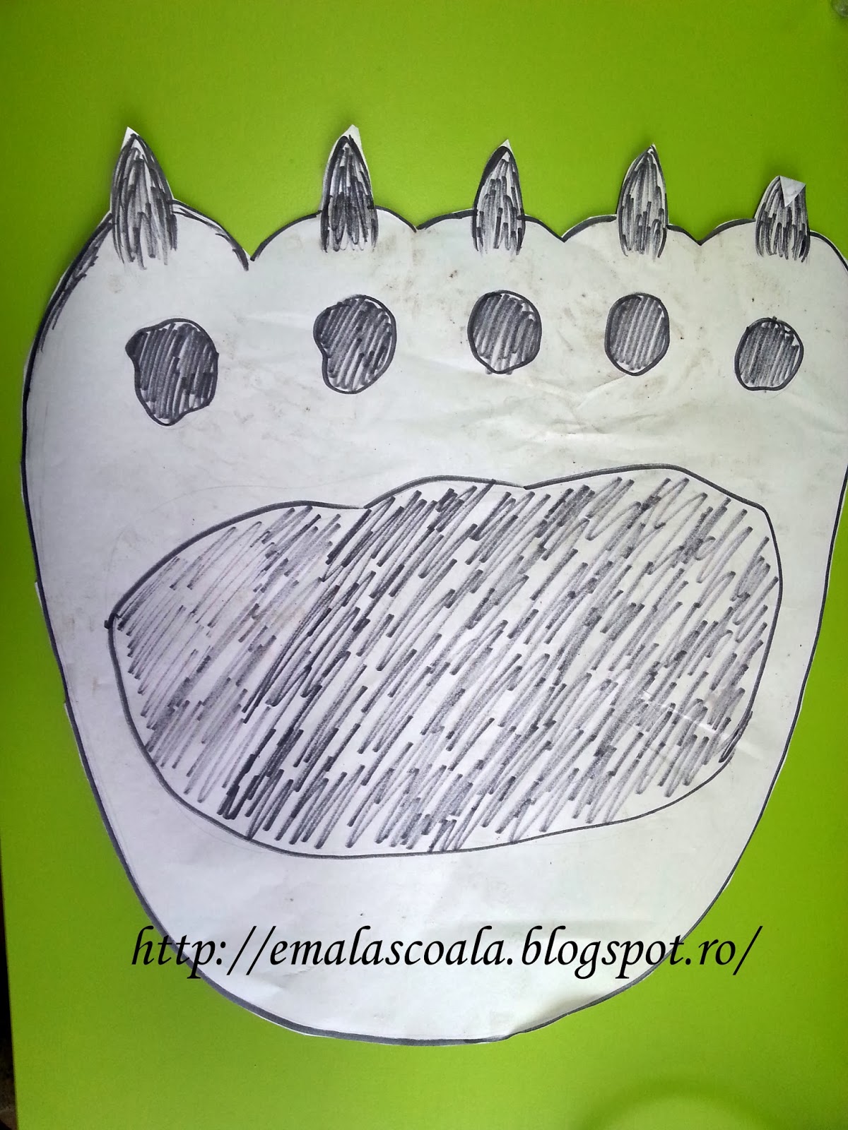 15 activitati cu ursul polar