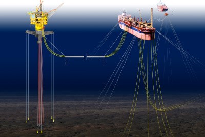 Flexible Riser - Submarine Pipeline