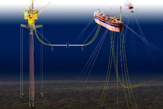 Flexible Riser - Submarine Pipeline