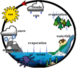 NATURAL SCIENCE 1st and 2nd GRADES: THE EARTH AND MATERIALS (2nd Year)