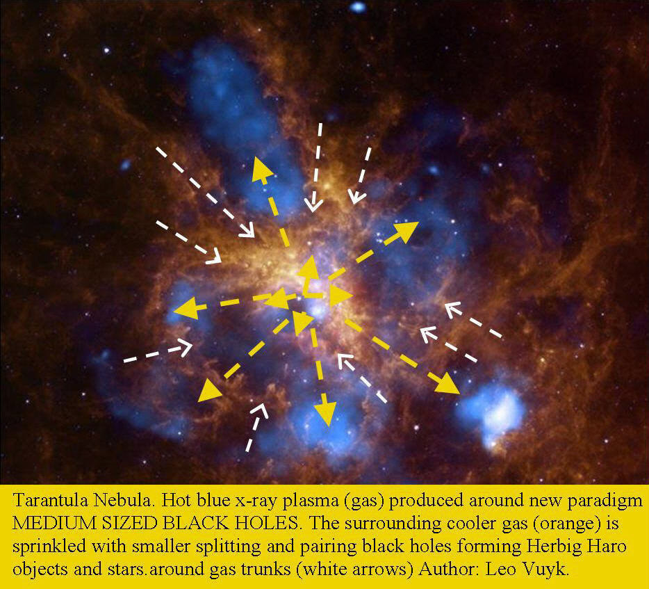 Quantum Function Follows FORM, (Q-FFF Theory) An Entangled Mirror ...