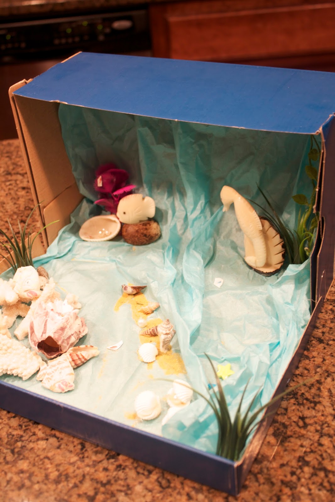 Creative, Cozy, and Comfortable: ecosystem project