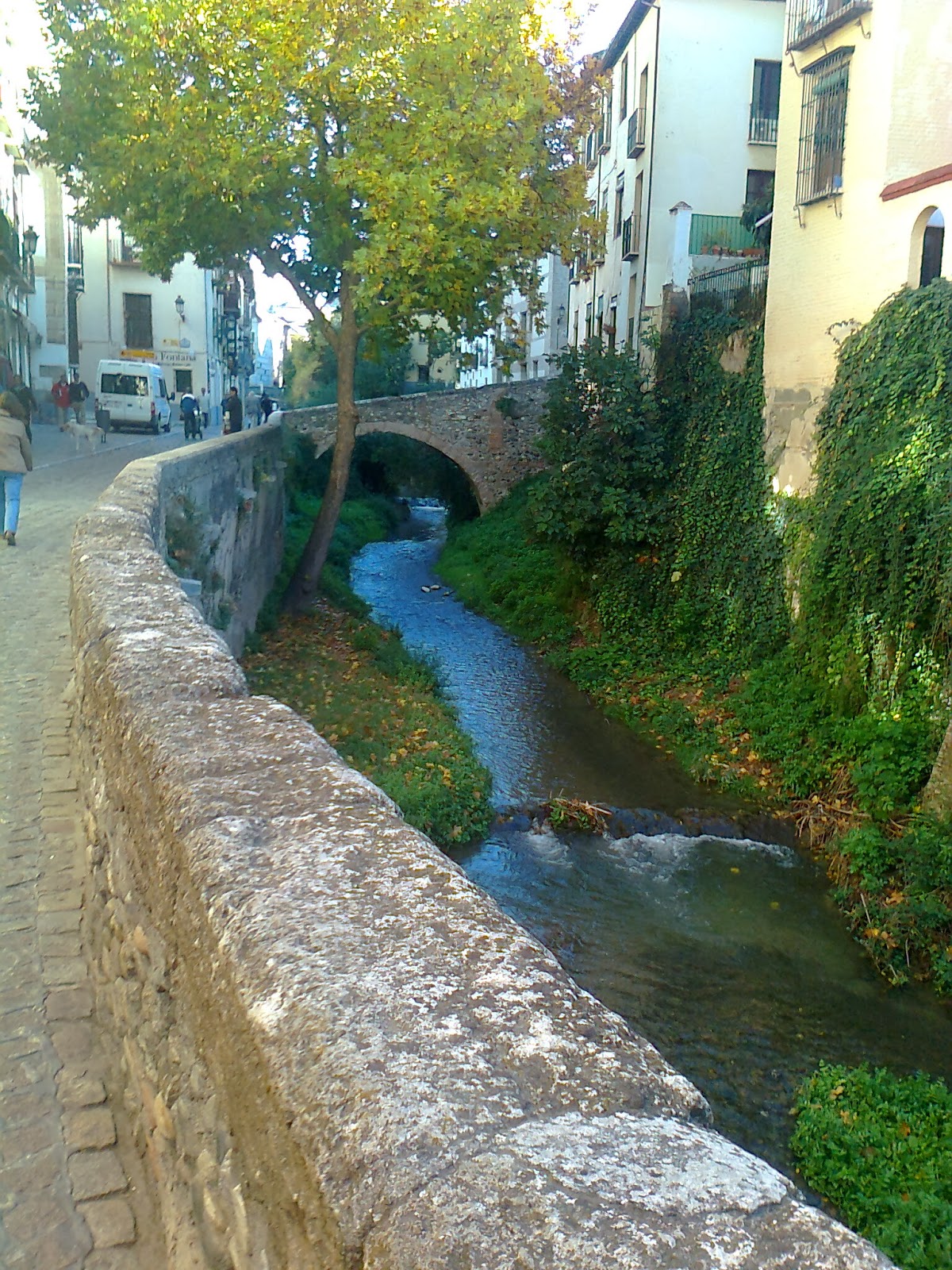 LA ODISEA DE LOS DÍAS: EL RÍO GENIL EN GRANADA