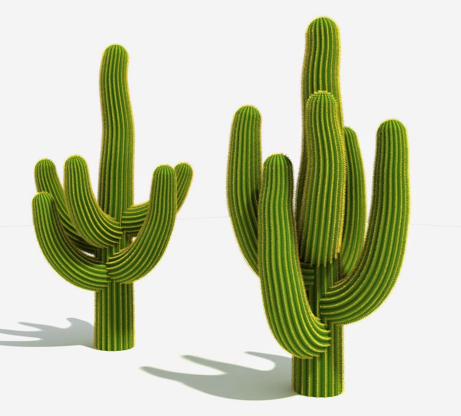 Cactus - Cia dos Gifs