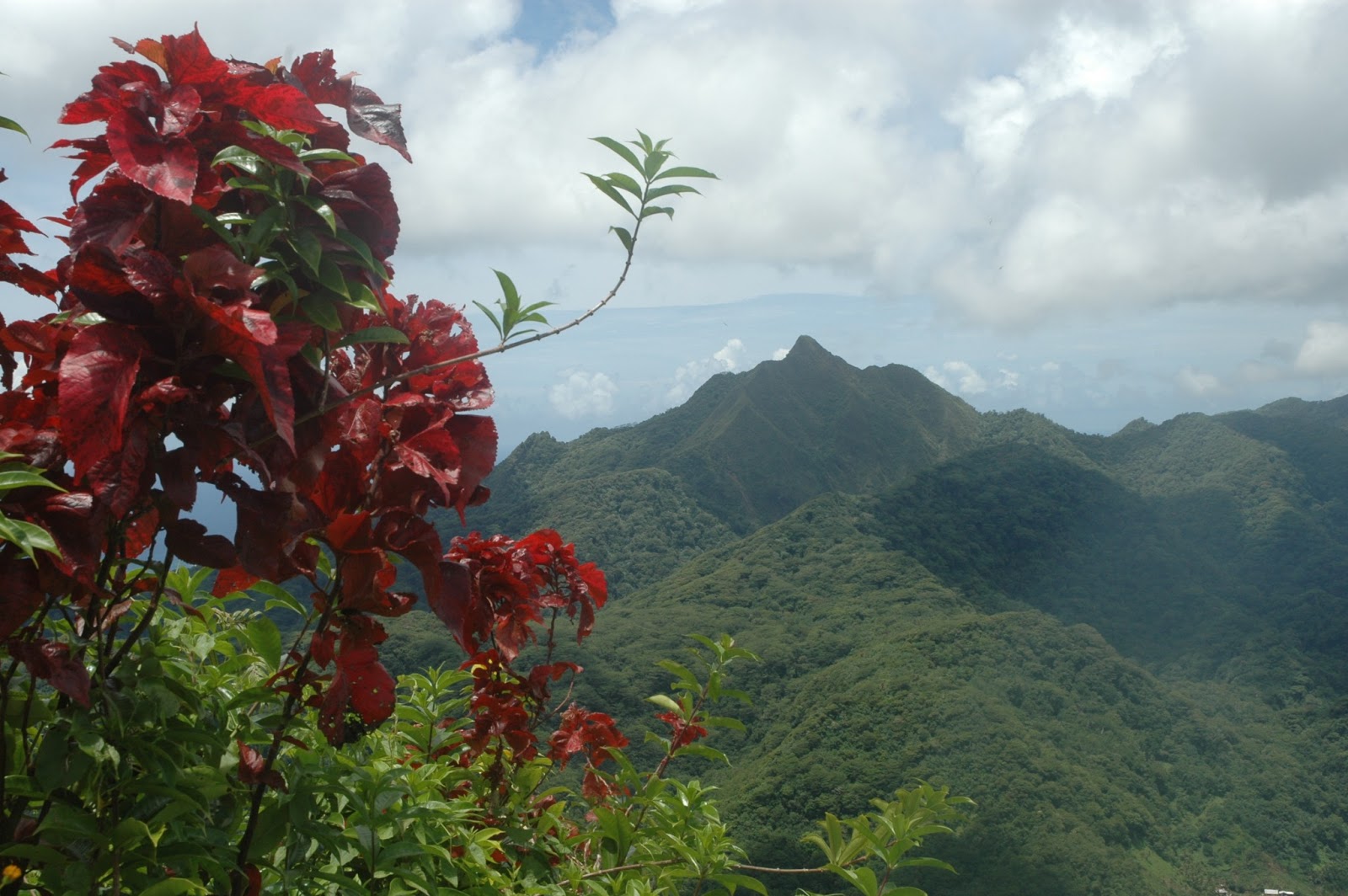 Boschen in American Samoa: Mount 'Alava :-)