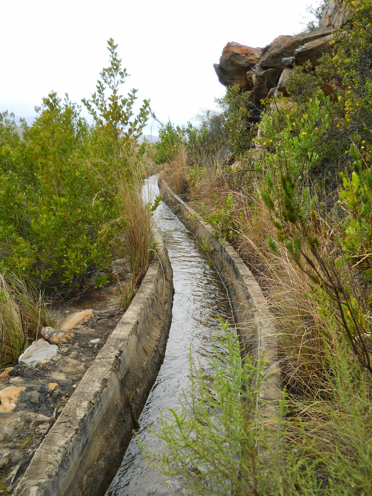 VIRGIN WATER: Karoo Water Tour in search of the African Underground Rivers