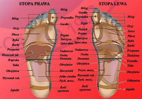 tianDe odkryj naturalne piekno: Jak oczyszcic organizm z toksyn
