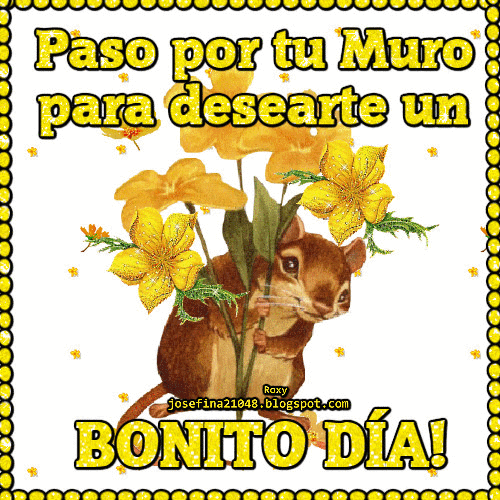 GIFS FINA: Bonito Día