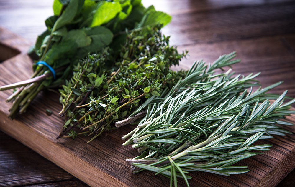 Aquaponics How To Dry Fresh Herbs aquaponics-how-to-dry-fresh-herbs
