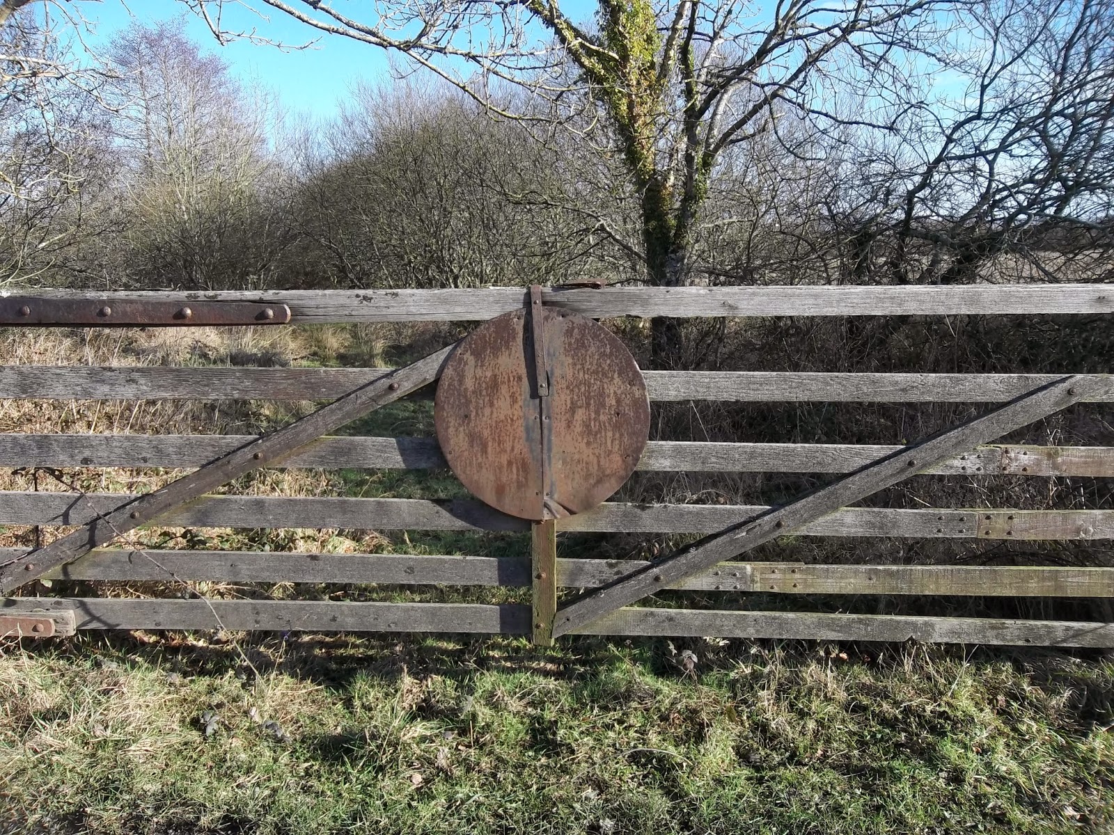 Thoughts of Chairman Mwyn: Lôn Goed Herald Gymraeg 25 Chwefror 2015