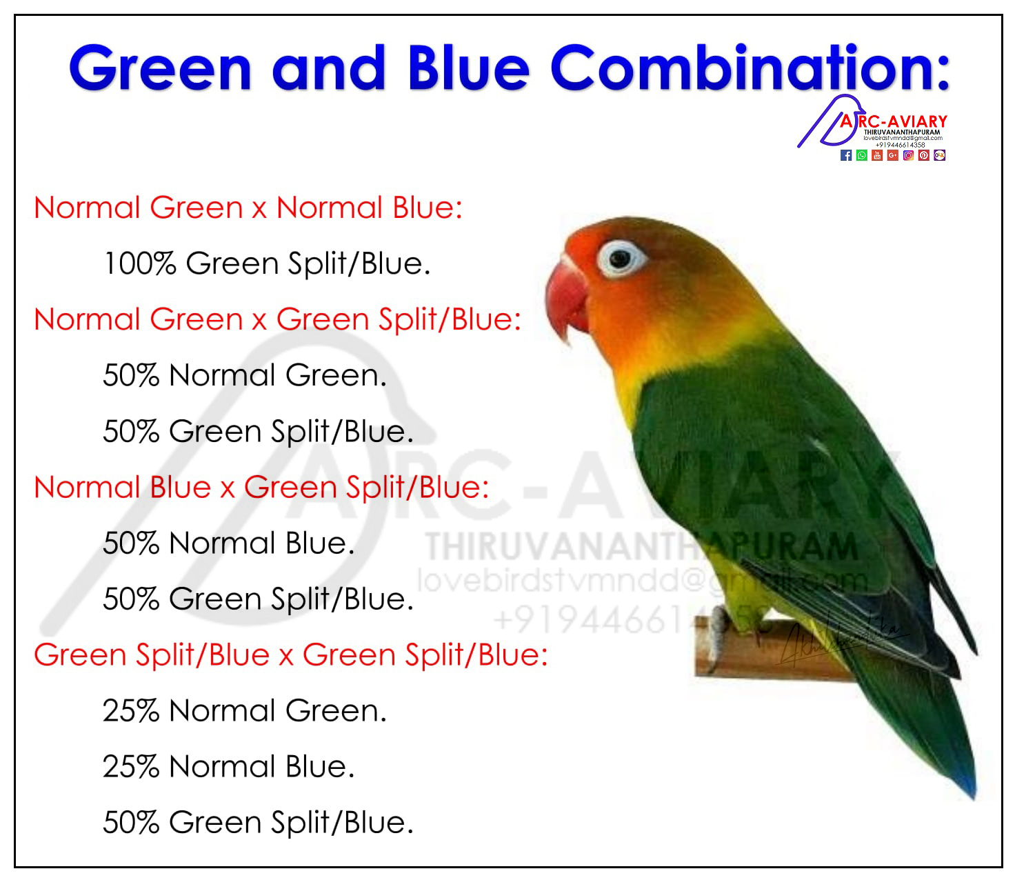 Examples of Green and Blue Couplings Combination: