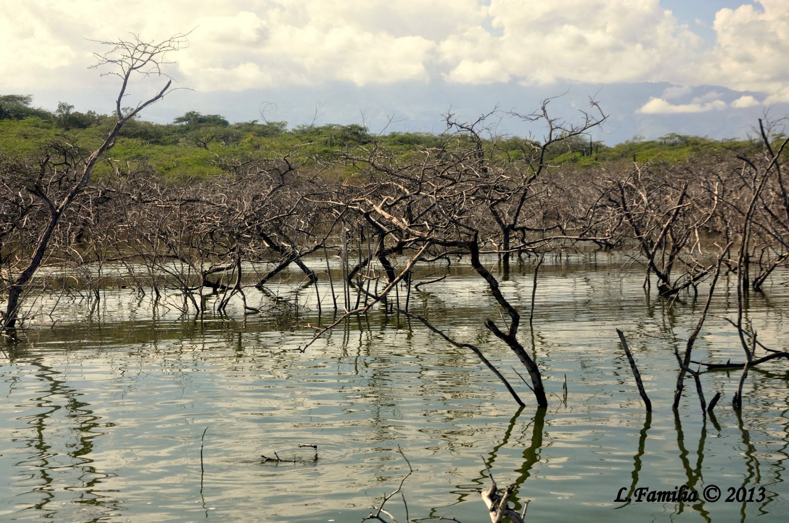 Lago Enriquillo, Dominican Republic