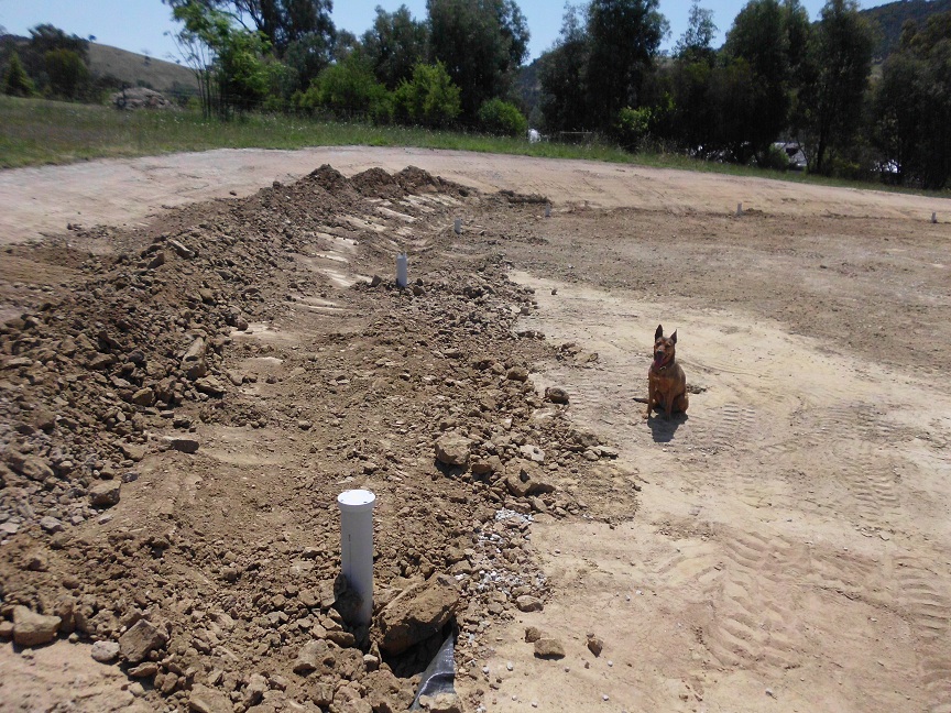 Tim & Jodie's House: Aggie Drain