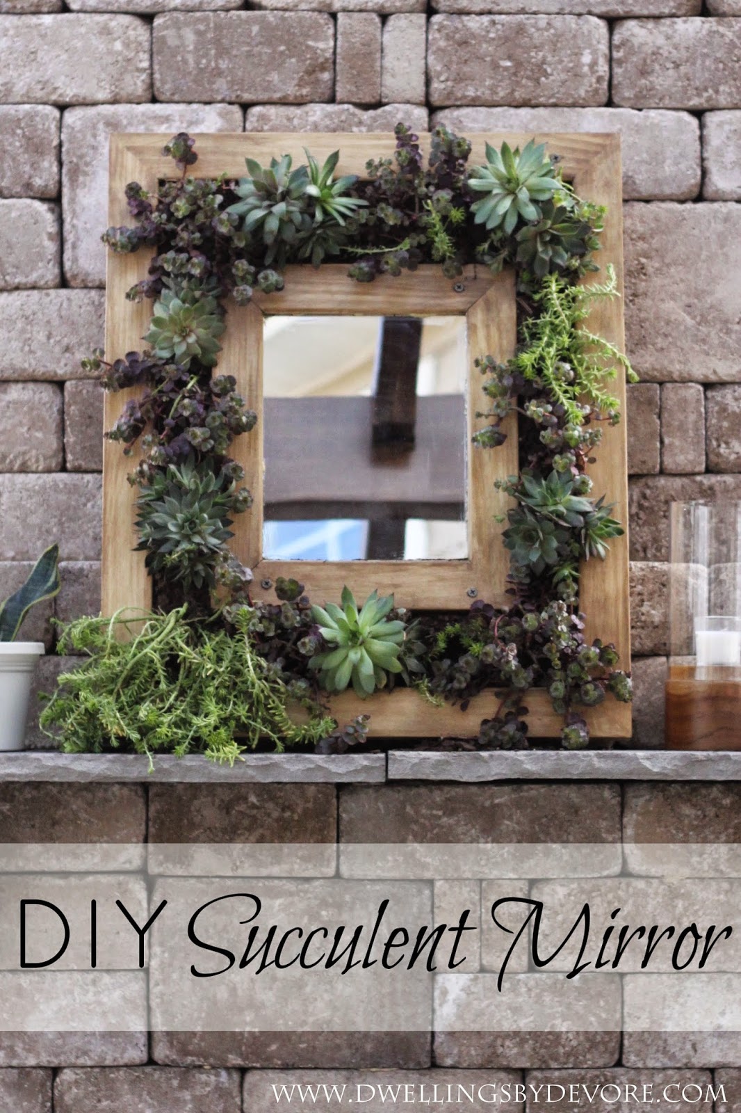 Dwellings By DeVore: DIY Succulent Mirror