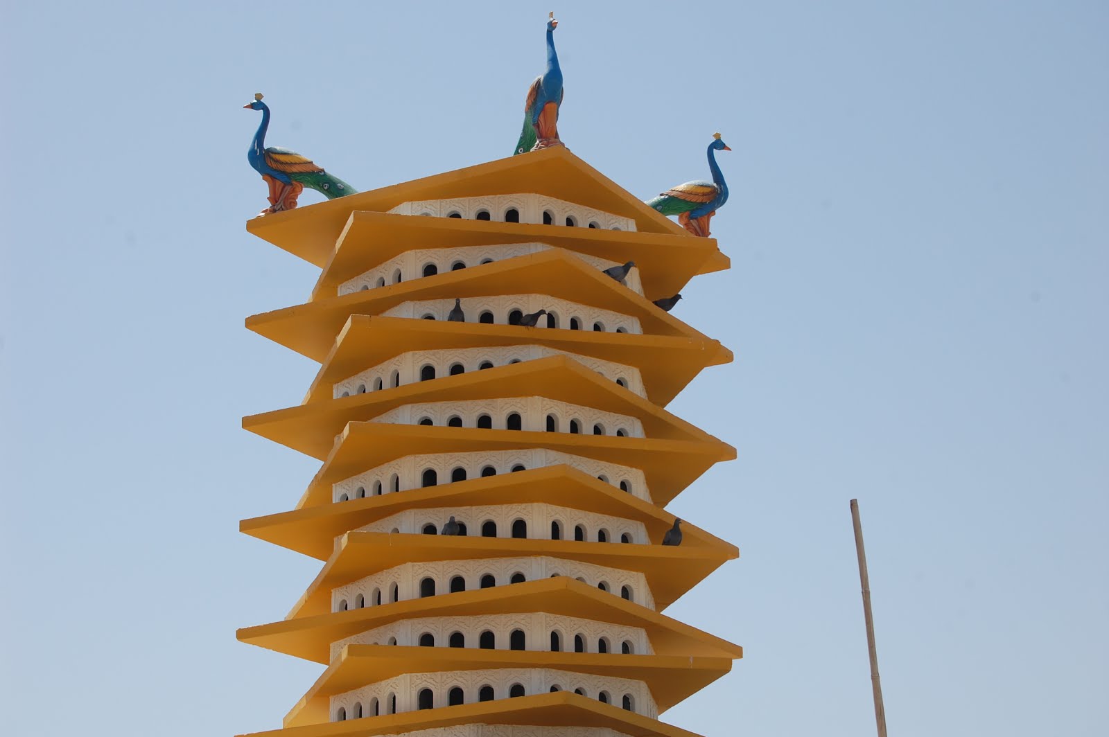 SHREE SAMI KHODADHOR PANJARAPOLE: PANJARAPOLE PHOTOS