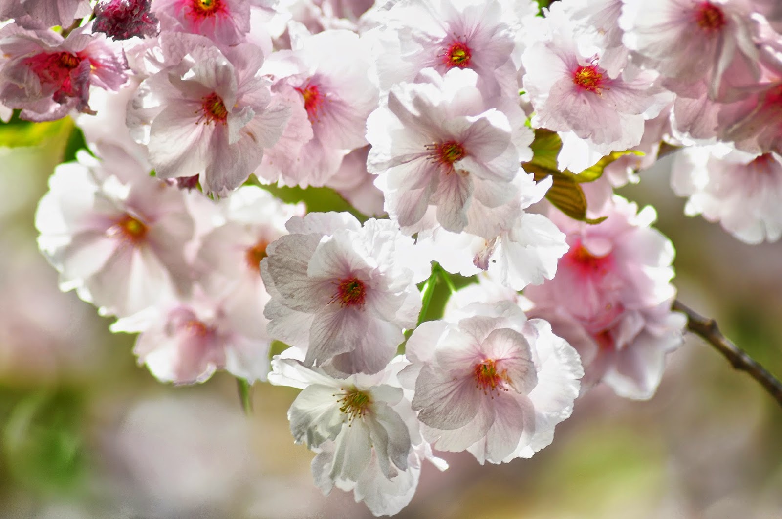 Torino In My eyes: April 2014