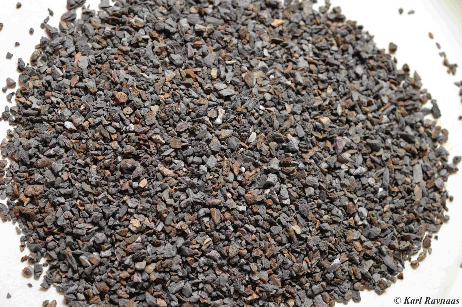 Living Rocks - A blog about cacti and other succulents: The Nursery ...