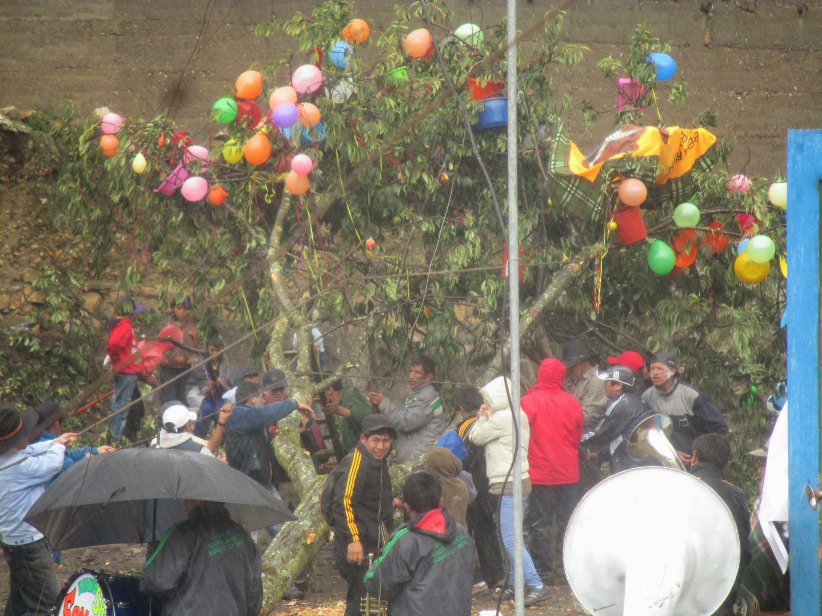 Munay (Love & Beauty): Stories of Life in Peru: Yunza: Tree Dancing