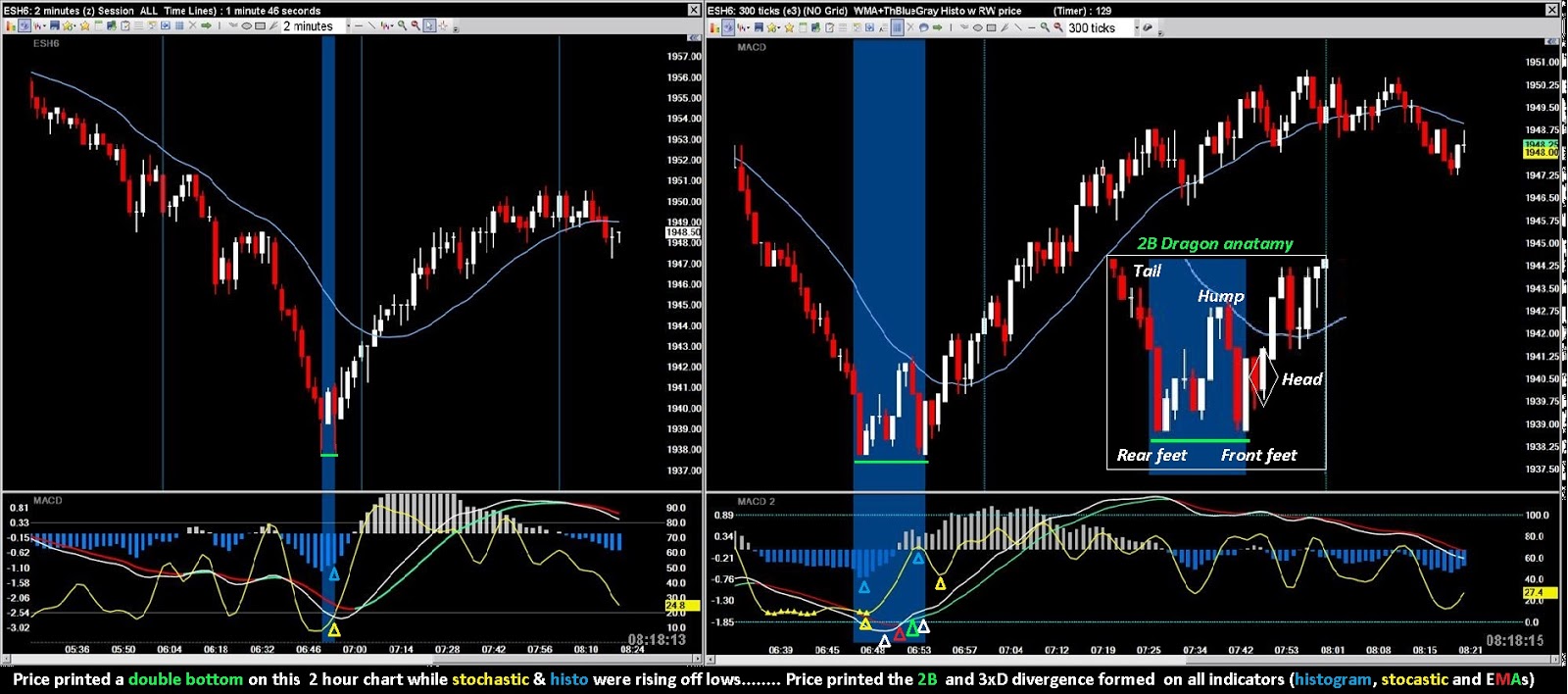 Sharpshorts Day Trading : 5......2B DRAGON trade pattern