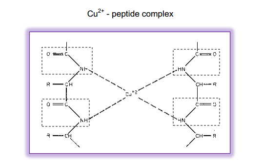 biochemistry: Practical 2 : Protein Experiment