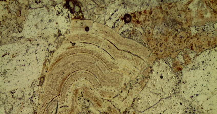 Rapid Uplift: Photomicrograph: Botryoidal Silica And Dolomite Cement In ...