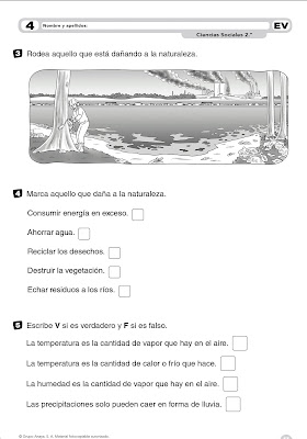 *Mi maestra Rocío*: Fichas de repaso de sociales y naturales