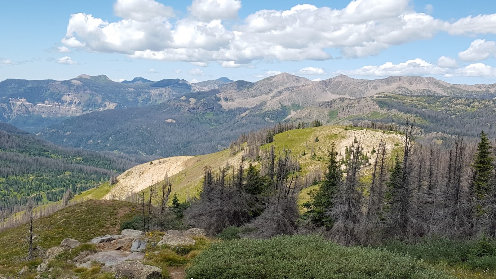 Eas-On Down The Road: The Bachelor Loop in Creede